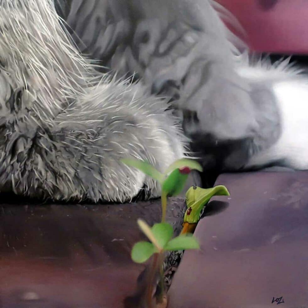 Personalised Portraits | Handcrafted Art by Human Touch Portraits